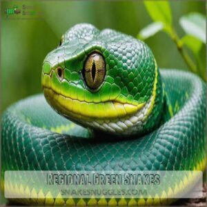 Green Snake Identification: Types, Pictures & Safety Tips