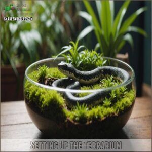 Bioactive Snake Terrarium Setup: a Guide to Natural Living Spaces