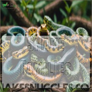 Types of Snakes: Families, Notable Species, Facts & Myths