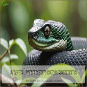 Do Snakes Make Good Pets? Pros, Cons & Snake Care Tips