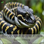 Carpet Python Facts: 10 Amazing Features You Didn't Know