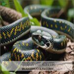 Do Snakes Make Good Pets? Pros, Cons & Snake Care Tips