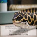 Ball Python Scale Rot: Causes, Symptoms, and Treatment Tips