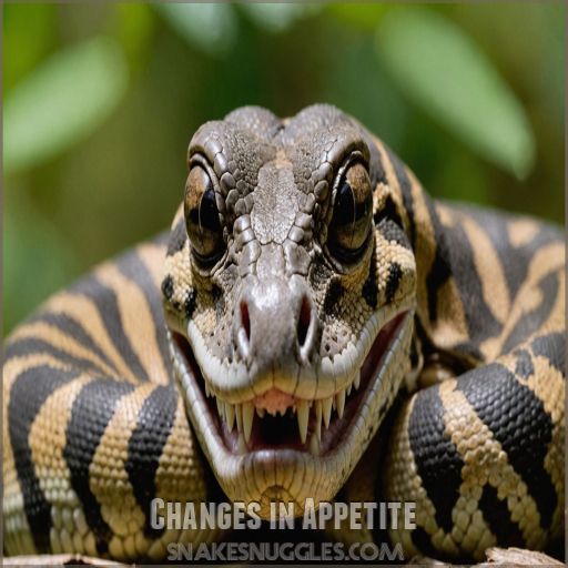 Boa Constrictor Health Problems: 10 Warning Signs Every Owner Must Know