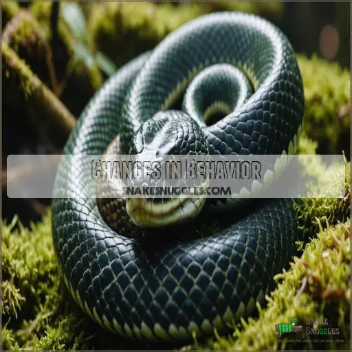 Common Snake Diseases: Spotting & Treating Illnesses