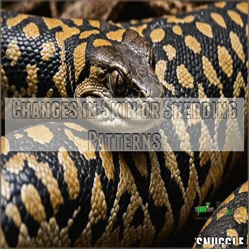 Boa Constrictor Health Problems: 10 Warning Signs Every Owner Must Know