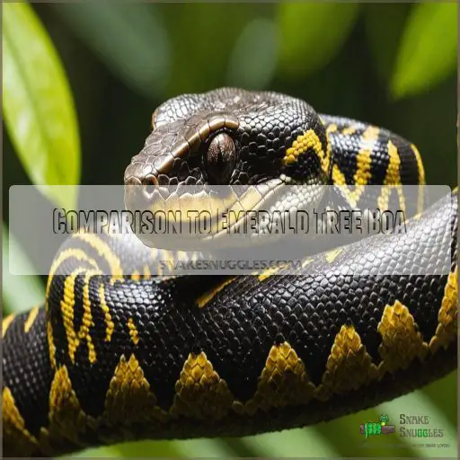 Amazon Tree Boa: 10 Secrets About This Mesmerizing Rainforest Snake (2024)