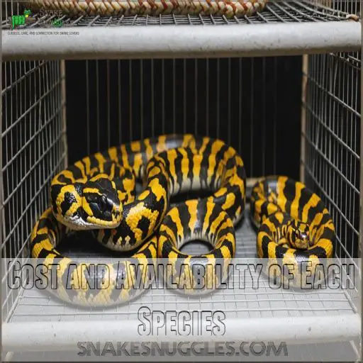 Ball Python Vs Corn Snake: Which is Right for You?