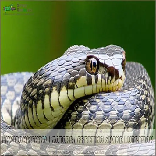 Snake Diet for Different Species: What Snakes Eat