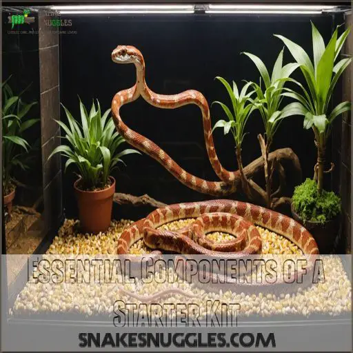 Corn Snake Starter Kits: Setup Tips for New Snake Owners