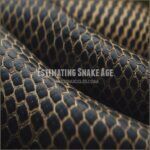How to Tell a Snake’s Age: Signs, Secrets & Species Tips