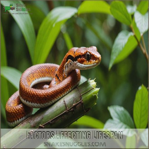 Corn Snake Lifespan: Tips for Healthy, Long-Lived Pet Snakes