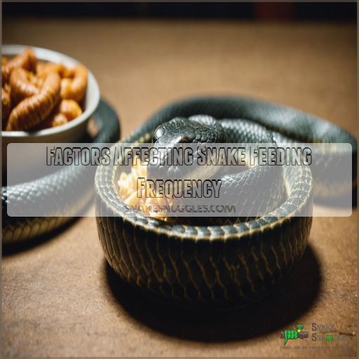 How Much to Feed a Snake: Guide to Feeding Frequency & Tips