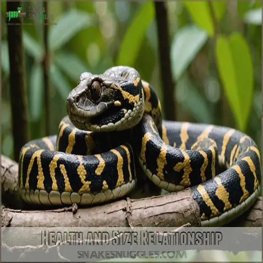 Boa Constrictor Size Chart: Growth, Feeding & Care Tips