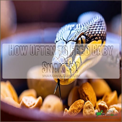 How Often to Feed Baby Snakes?