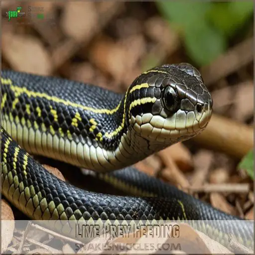What to Feed a Garter Snake: Diet Tips for Healthy Snakes