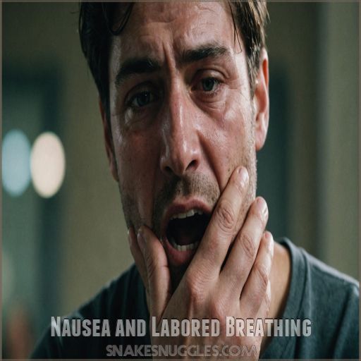 Snake Bite First Aid: 7 Critical Steps to Save a Life (Expert Guide)