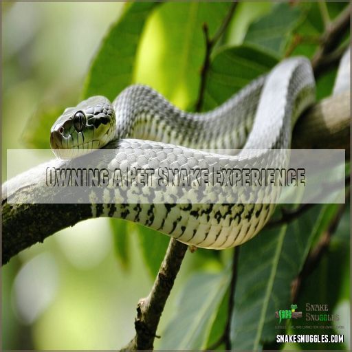 What It's Really Like Owning a Snake: Truth Behind Being a Serpent Parent