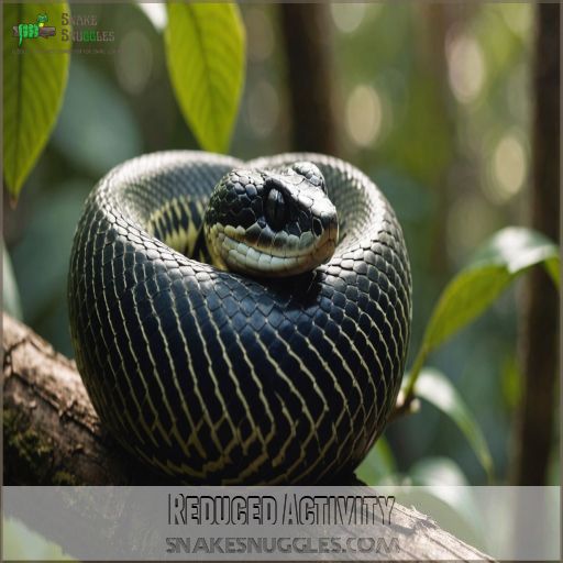 Snake Brumation Process: Essential Insights for Care and Survival