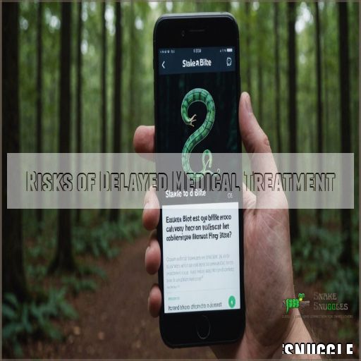 Snake Wound Care at Home: Essential First Aid and Tips