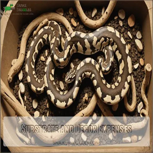 Ball Python Price Guide: Costs, Supplies & Tips for 2024