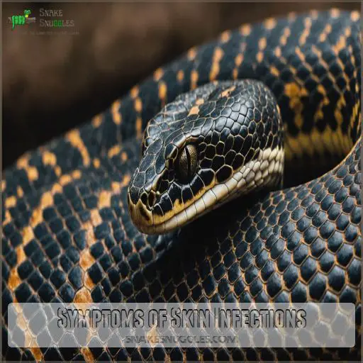 Snake Skin Problems Treatment: 10 Expert Tips for Healthy Pet Scales