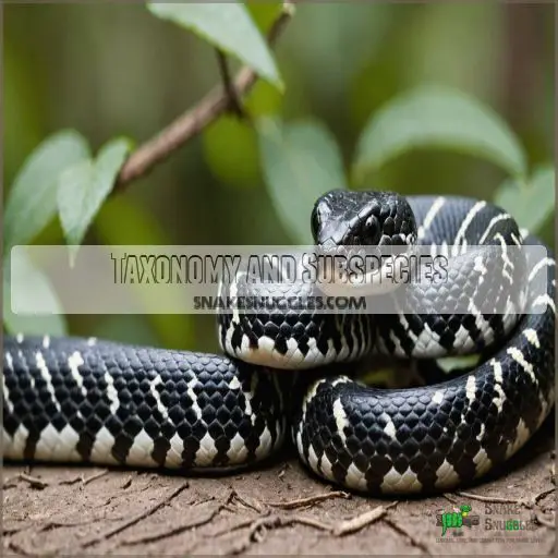 Species Profile Eastern King Snakes: Nature's Most Cunning Constrictors