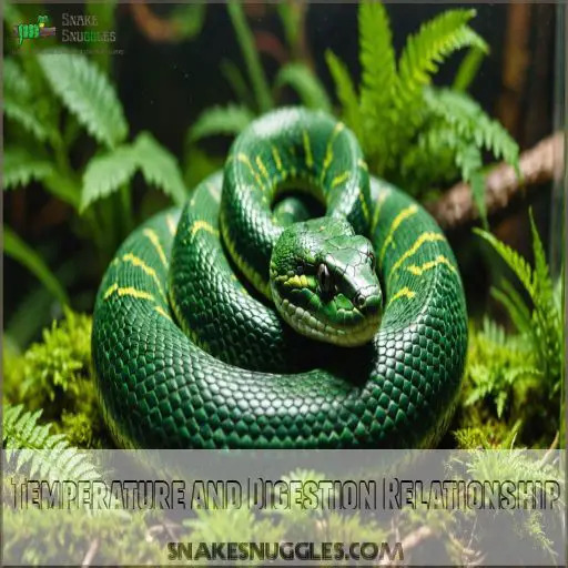 Snake Diet Guide: What They Eat & Essential Feeding Tips