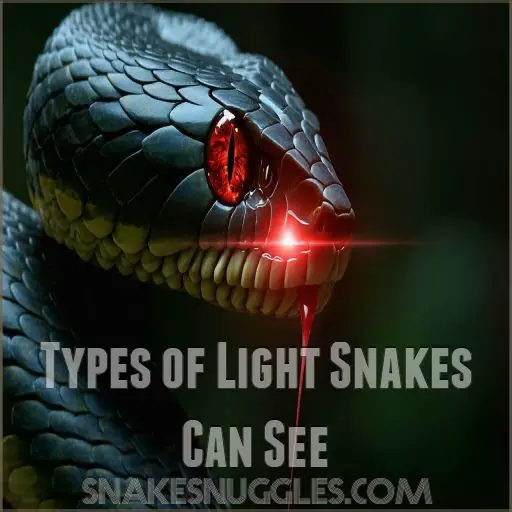 Can Snakes See Red Light? The Truth About Snake Vision Revealed! 🐍