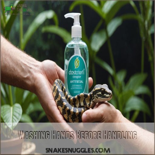 Boa Constrictor Health Problems: 10 Warning Signs Every Owner Must Know