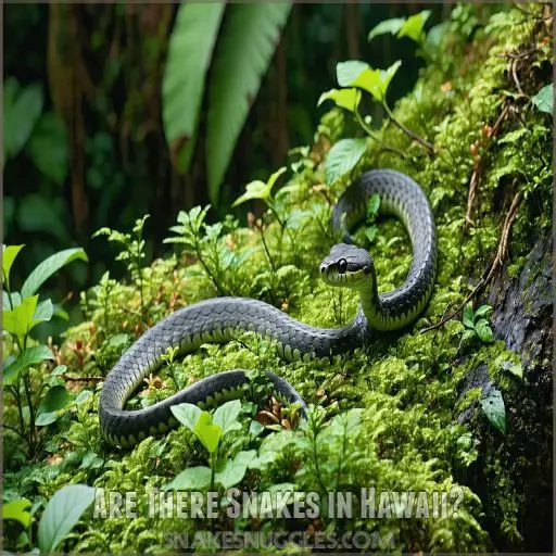Are There Snakes in Hawaii? The Surprising Truth About Island Serpents!