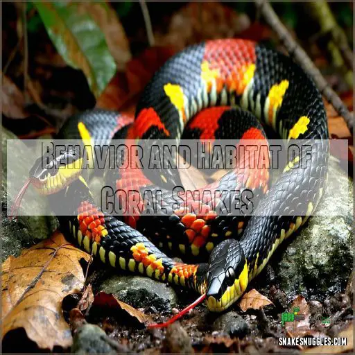 Coral Snake Look-Alike: Deadly Mimics & How to Spot Them