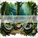 Boa Constrictor Habitat Requirements: Expert Guide to Natural & Captive ...