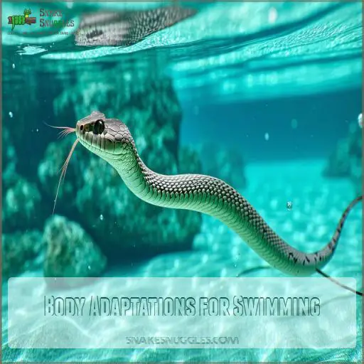 Can a Rattlesnake Swim? Discover Their Secret Aquatic Skills!