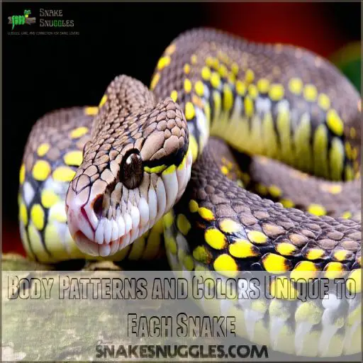 Scaleless Corn Snake Guide: Care, Habitat, and Unique Traits