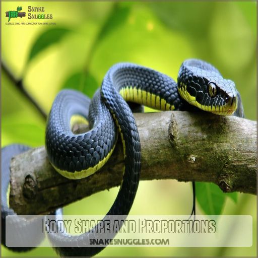 How Big Do Black Rat Snakes Get? Size Facts That Will Shock You