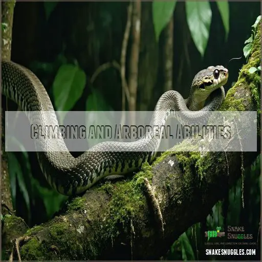 Boa Constrictor Habitat Requirements: Expert Guide to Natural & Captive ...