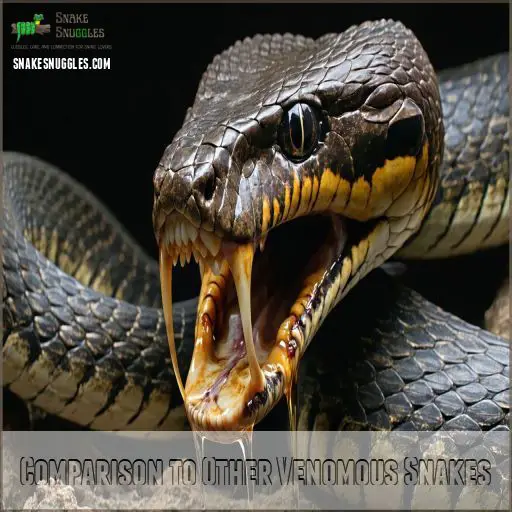 The Most Venomous Snake in The World: Meet Earth's Deadliest Serpent