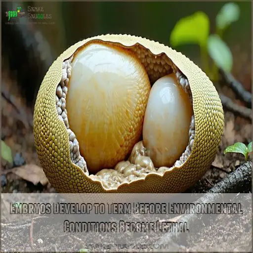 How Do Snakes Lay Eggs? The Surprising Truth About Snake Birth Revealed