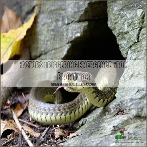 When Do Snakes Hibernate? What You Need to Know About Snake Winter Sleep