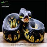 Most Expensive and Rarest Ball Python Morphs Exposed!