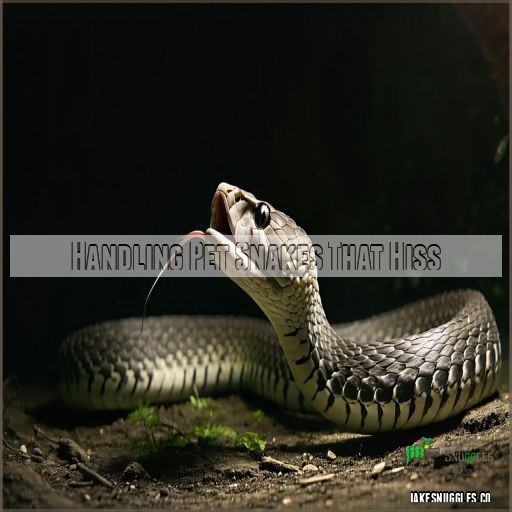 Snake Hissing: Secrets & Sounds Revealed