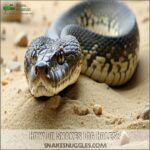 How Do Snakes Dig Holes? The Shocking Truth Revealed!