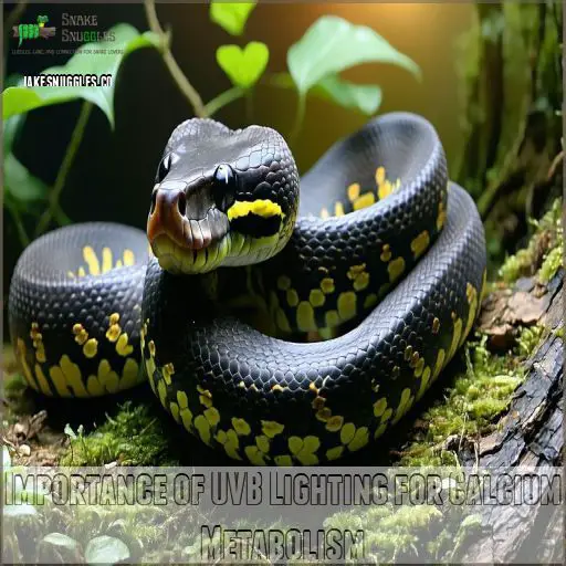 Ball Python Feeding Guide: Chart, Tips, Schedule, and Diet Explained