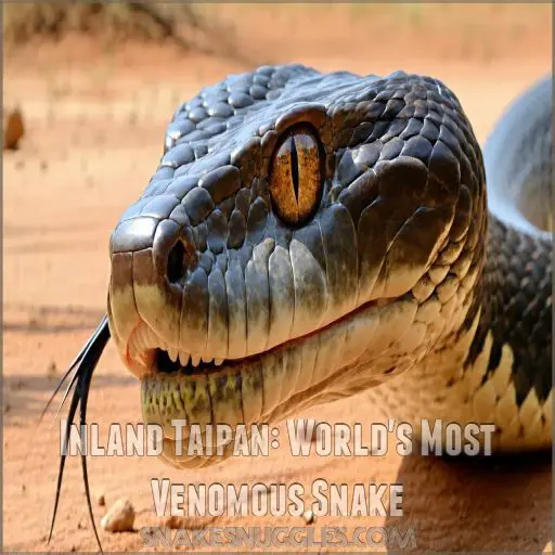 Most Venomous Snake: Meet The World's Deadliest Snakes