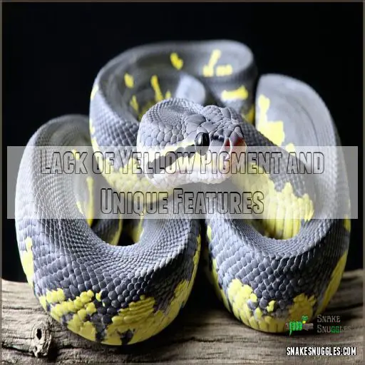 Axanthic Ball Python: Morphs, Care Tips & Genetic Guide