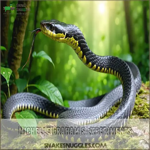 How Far Can a Snake Jump? Rattlesnakes, King Cobras & More