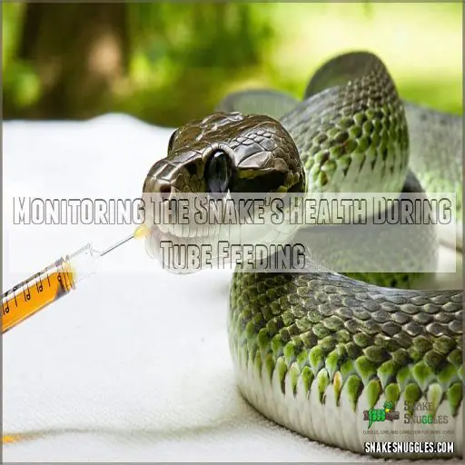 How to Feed a Snake With a Feeding Tube: Essential Tips
