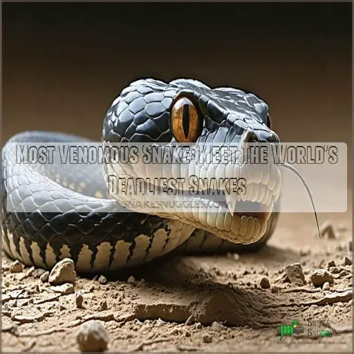 Most Venomous Snake: Meet The World's Deadliest Snakes