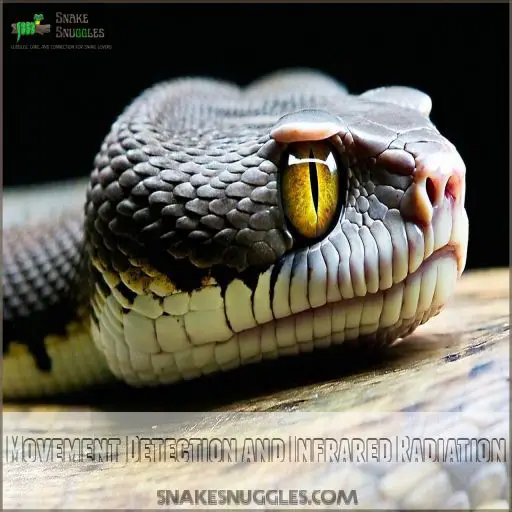 Can Ball Pythons See? The Truth About Their Vision Will Surprise You